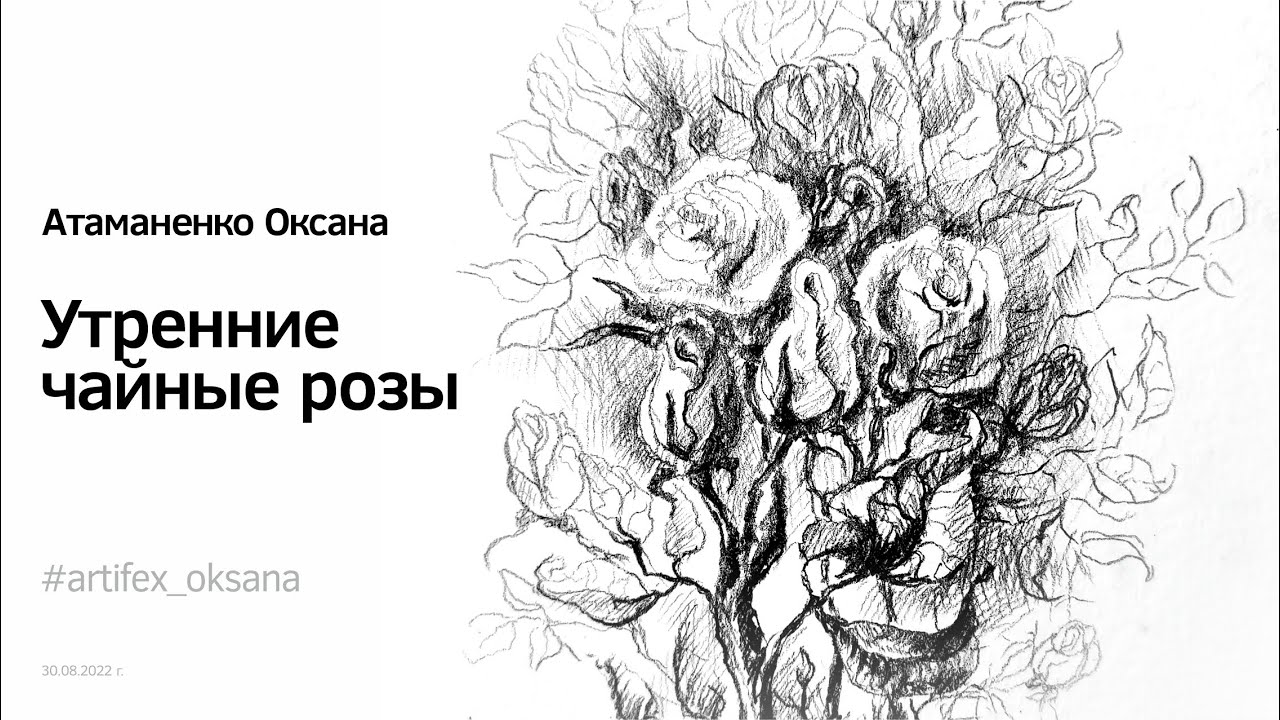 Утренние чайные розы, 30.08.2022 г. / Атаманенко Оксана / okatama.ru