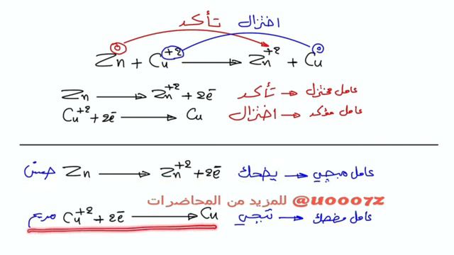 الفصل الرابع - المحاضرة 3