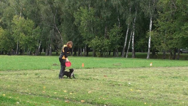 Russian USDDN WF Qualifier Лена и Умка.mp4