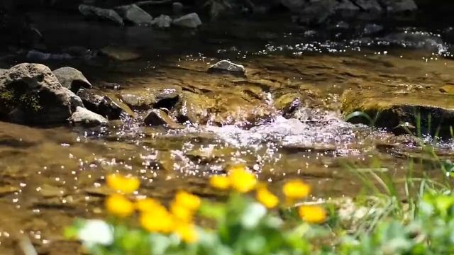 Как река течёт в просторе