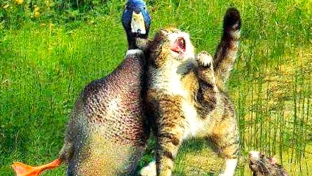 Корпоративчик