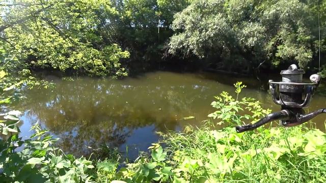 Летняя рыбалочка 2022 - часть 2. Блог из деревни "В гостях у Владимира"