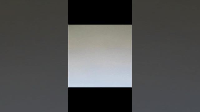 Домашний тиран, психопат.