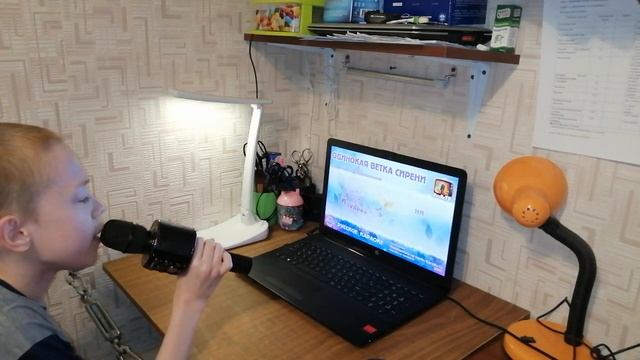 Караоке - _Одинокая ветка сирени_ Русская песня.mp4