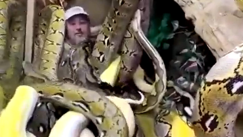 Змеиное логово.mp4