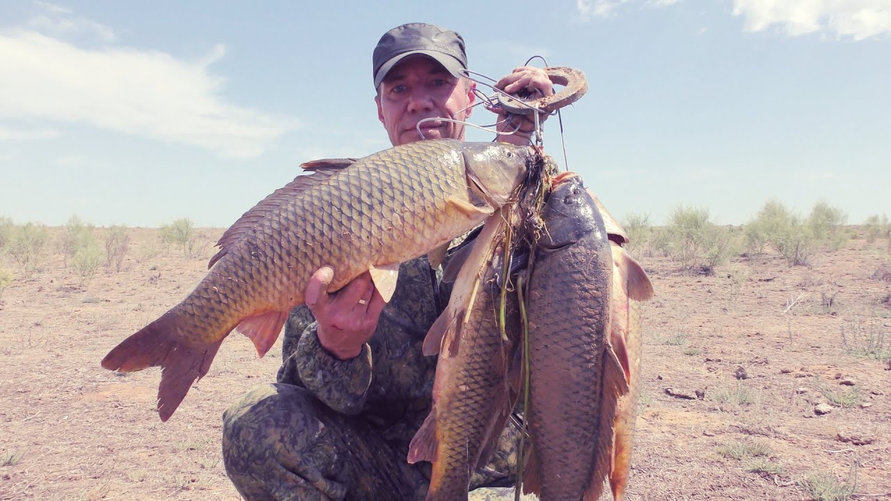 Астрахань, жара, июль. Отменная рыбалка на жмых. Слил отличного сазана. Рыбалка в Астрахани.
