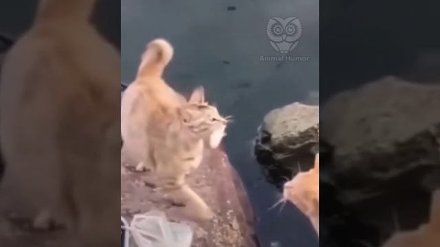 - Ой, держите меня, а то улечу!