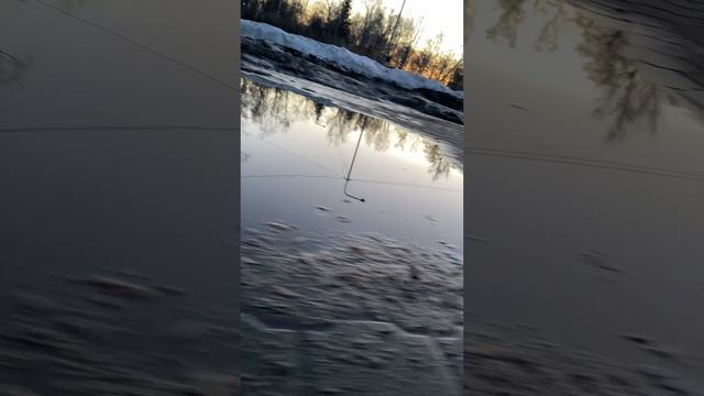 Во всех городах так весной??