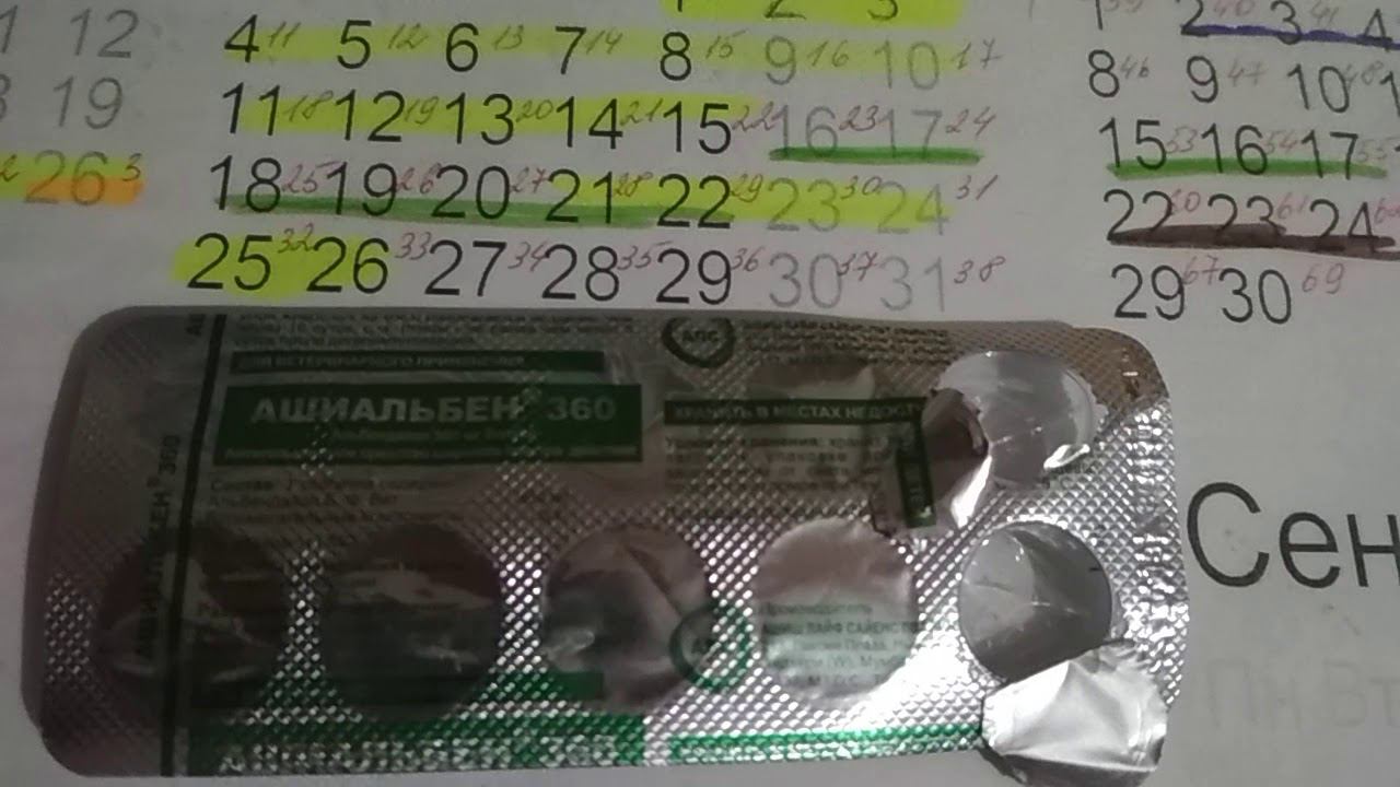 Чем лечить птицу от глистов