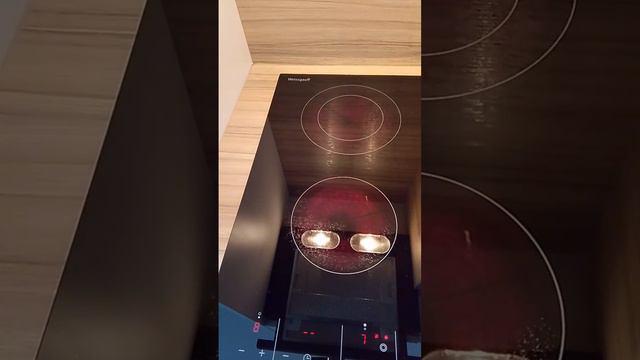 Плита Савушкина