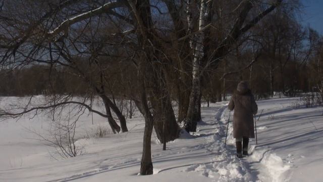 Мороз и солнце- день чудесный