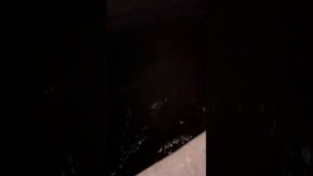 Ловля судака на воблер 95 мм (17 гр) от Mr. Musurok