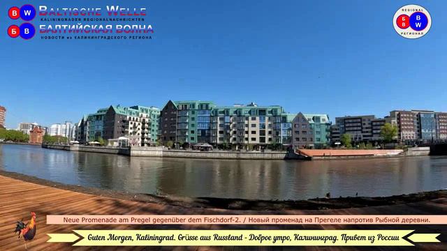 Guten Morgen Kaliningrad Доброе утро Калининград 01.05.2024