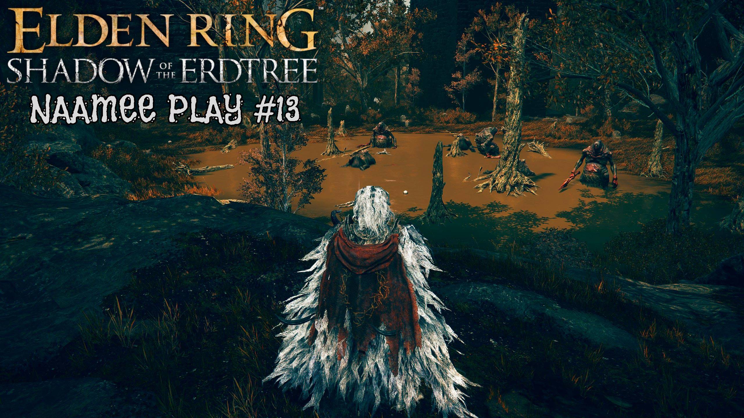 ELDEN RING Shadow of the Erdtree #13 / Ищем скрытую локацию