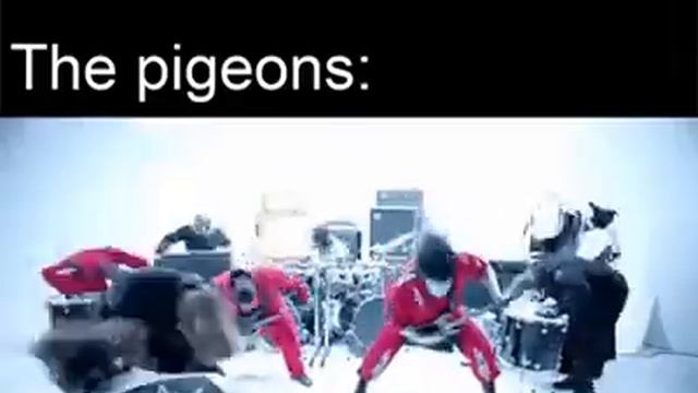 Slipknot голуби