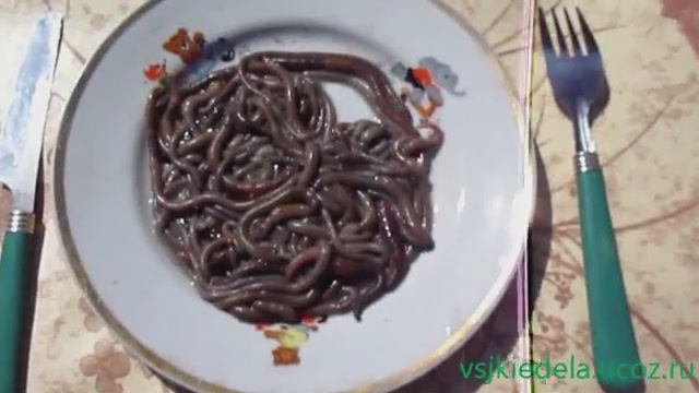 Ем дождевых червей. Кушаю дождевых червей