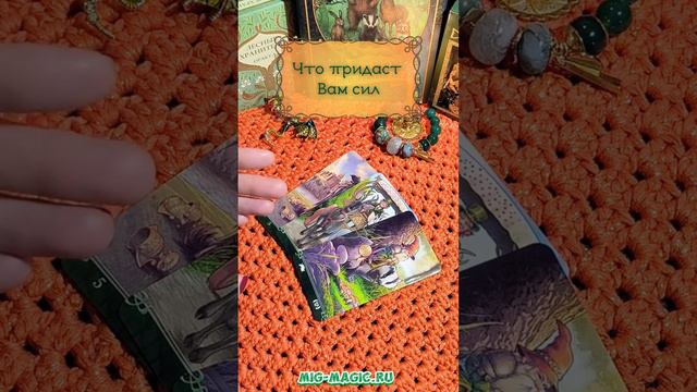 Что придаст Вам сил❓ Общий расклад ✨ #таро #гадание #расклад