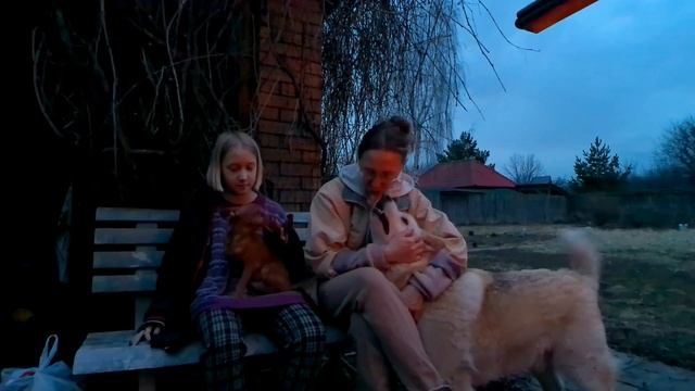 Открыли_Сезон_Жарим_Купаты