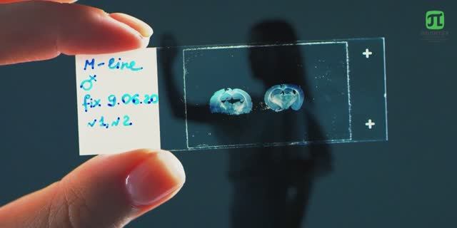 Lady in science: Екатерина Пчицкая