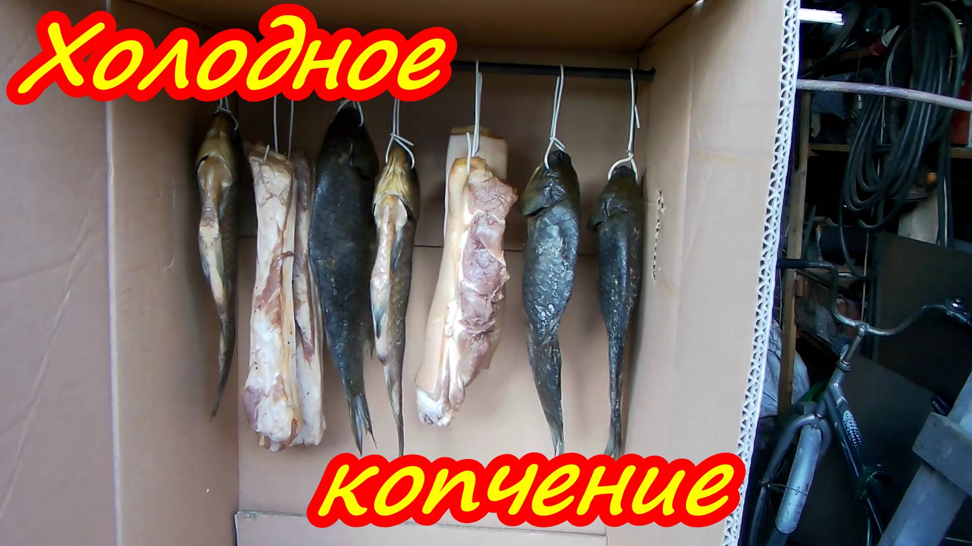 Холодное копчение карася