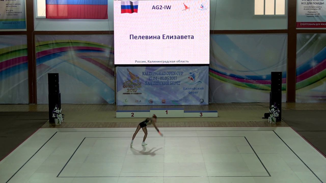 AG2 IW Пелевина Елизавета (Шаг Вперёд)