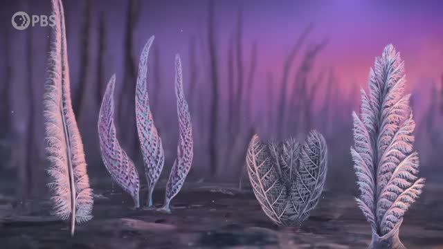 Эти окаменелости были немыслимы! (These Fossils Were Supposed To Be Impossible)