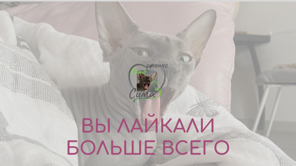 Лучшие выпуски апреля