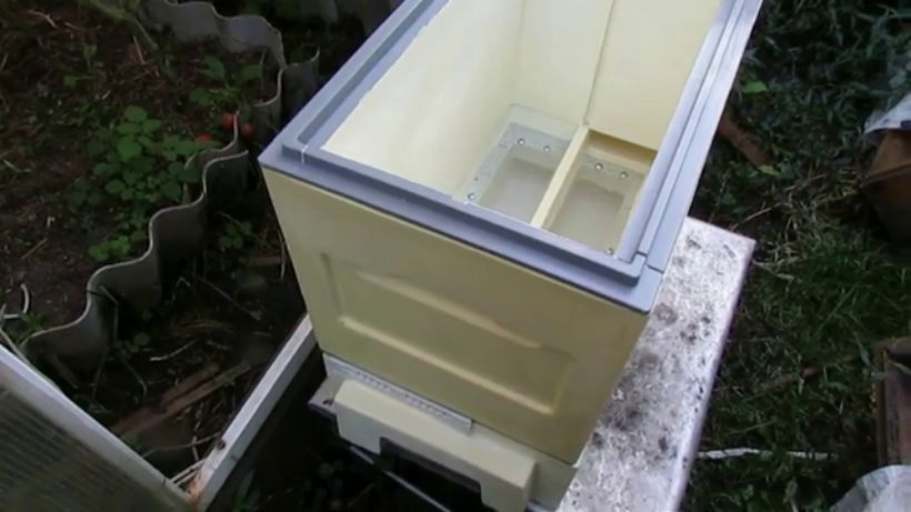 поздний облет пчелиных маток в сентябре в 6 рамочный ульях