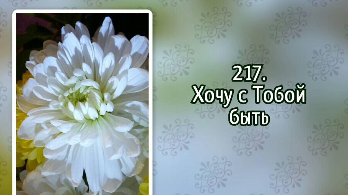 Гимны надежды 217 Хочу с Тобой быть (-)
