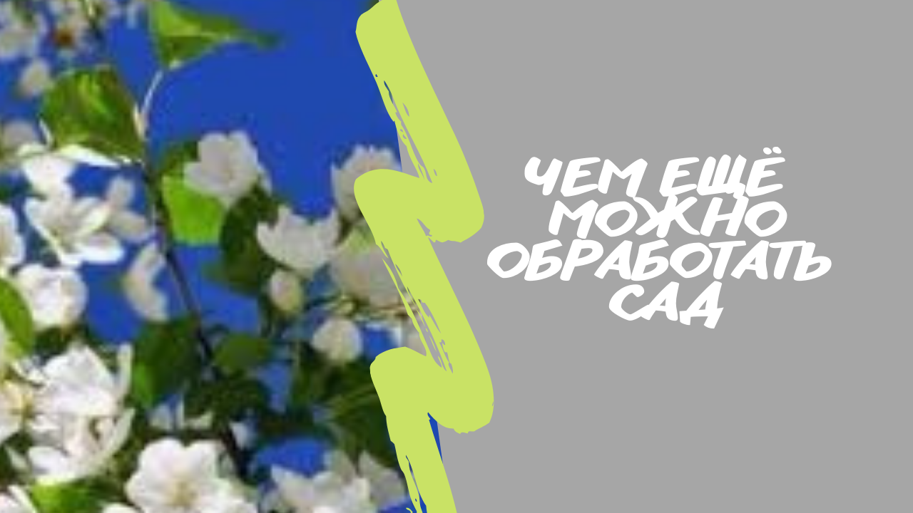 Чем ещё можно обработать сад ?до распускания почек??