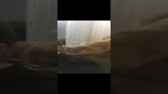 Ну, поиграй со мной.mp4