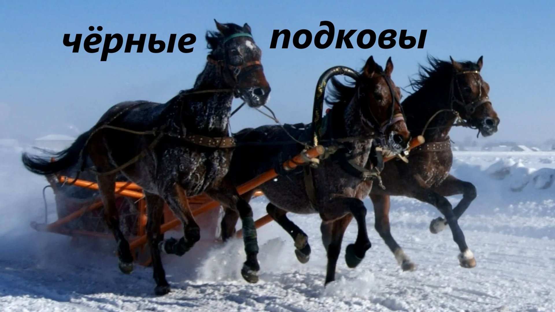 Чёрные подковы.