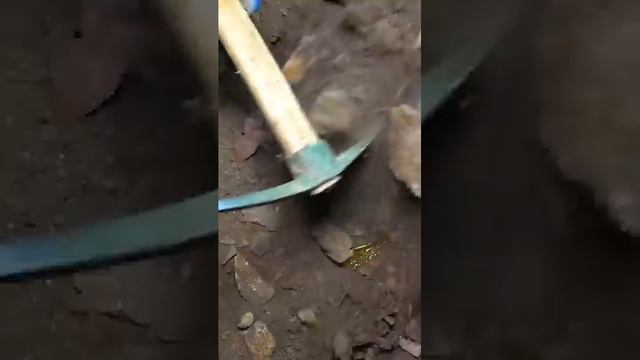 Поиск сокровищ нашел золотую чашу клад