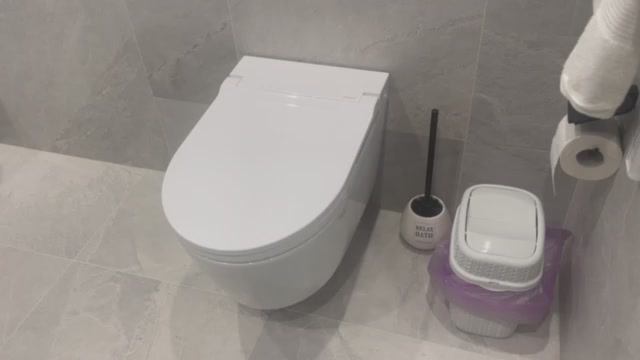 Отзыв пользователя на электронный унитаз BRUNNEN WAL BW-2401 / умный унитаз с функцией биде отзывы