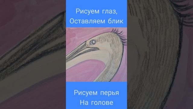 Мастер-класс "Пеликан".mp4