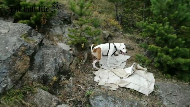 Осенний день (720p)