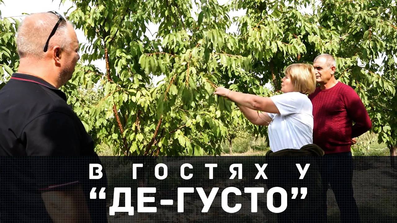 Большой выпуск, в гостях у Де-Густо, встреча с фермерами, производителями черешни