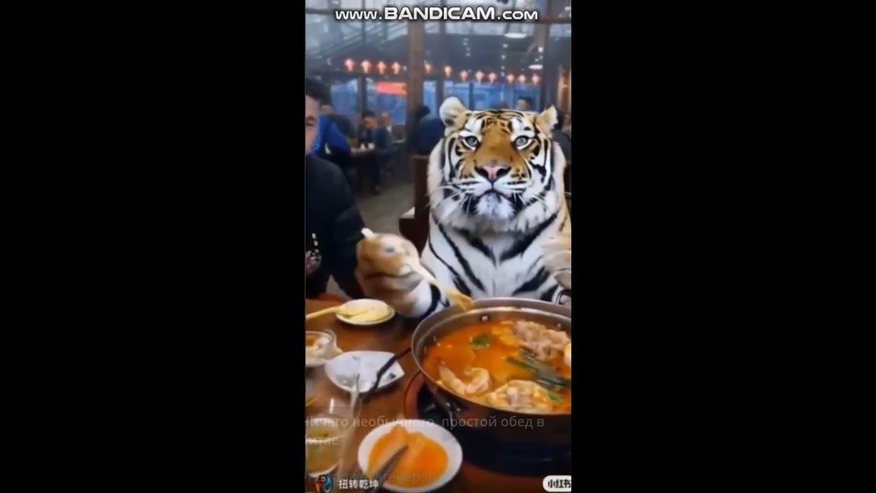 Львы тоже могут быть людьми