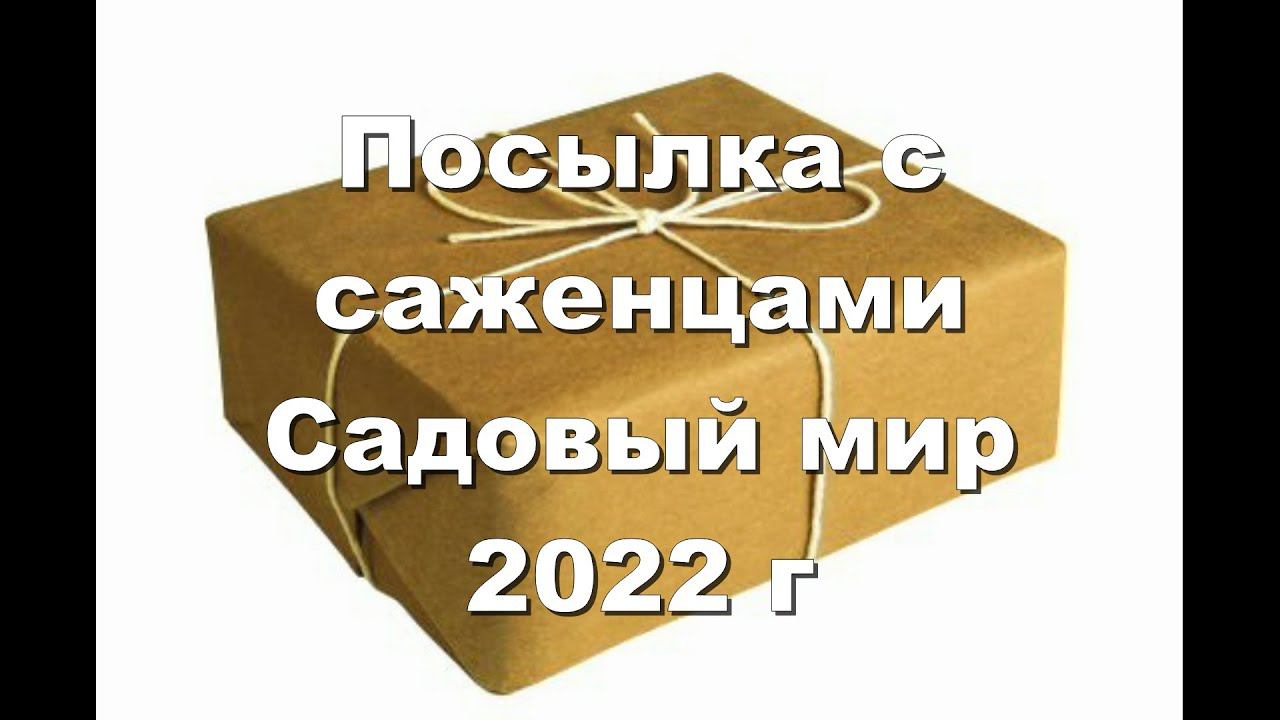 Посылка с саженцами Садовый мир 2022 г.