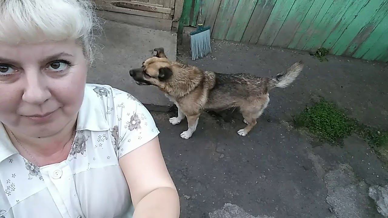 Я снова с Филей