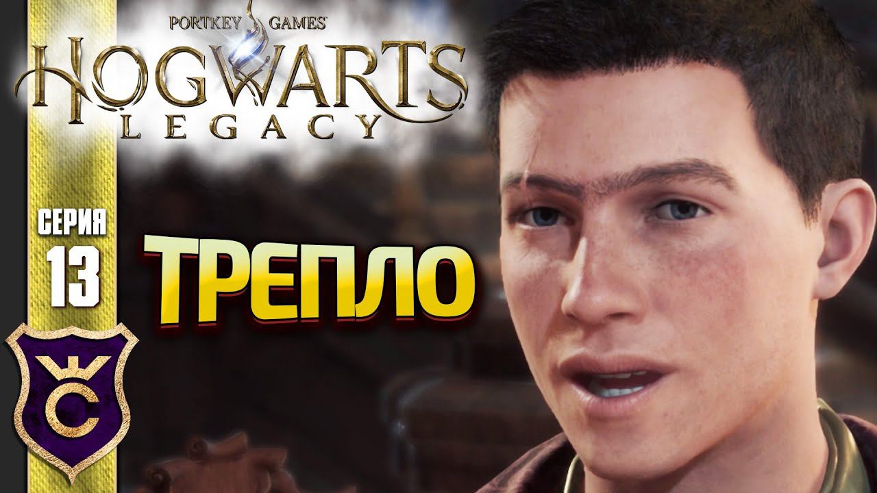 ОН НЕ УМЕЕТ ХРАНИТЬ ТАЙНЫ! Hogwarts Legacy #13