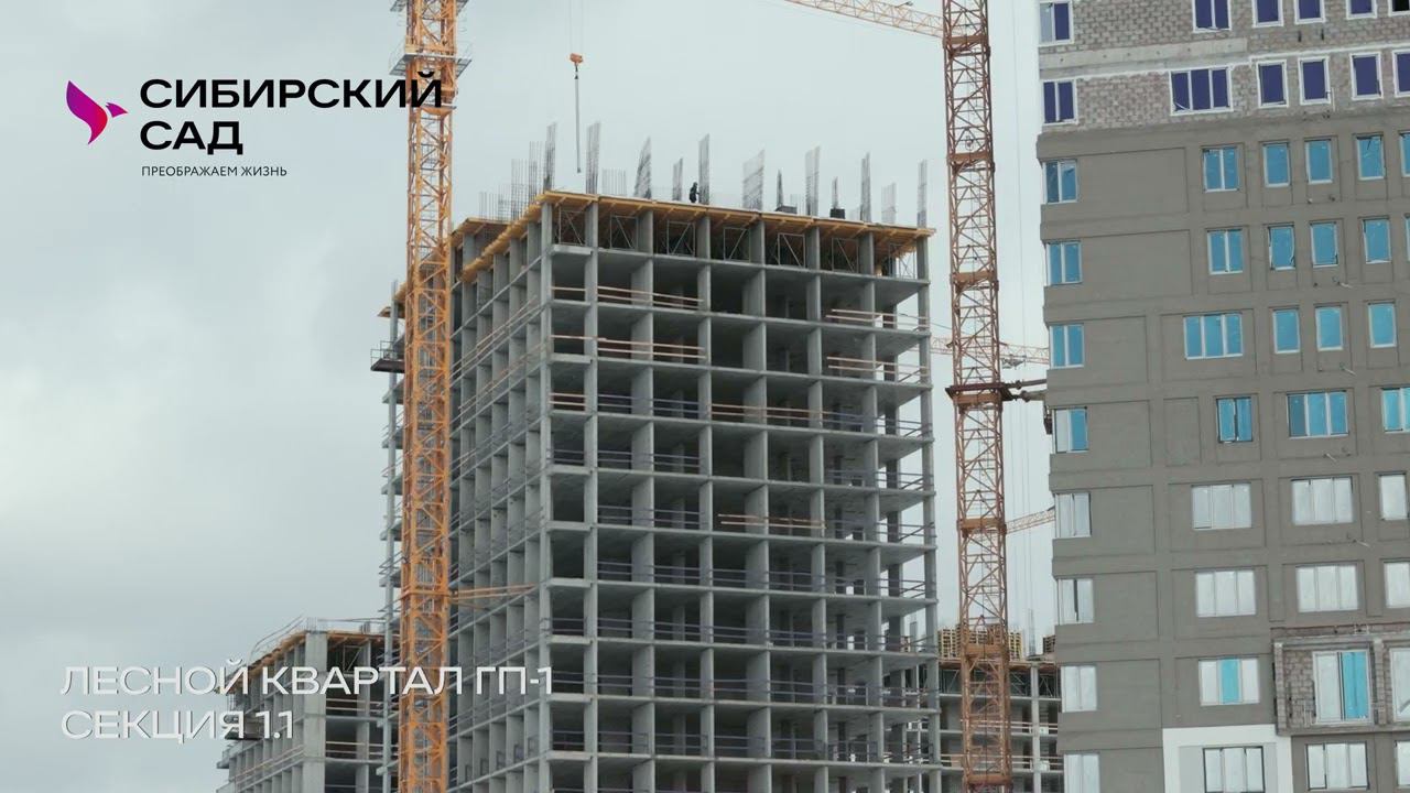 Сибирский сад, ноябрь 2023