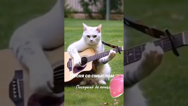 ИИ Кот песенки поëт)