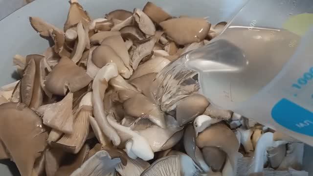 Вешенки маринованные на зиму - полная версия, с яблочным уксусом.