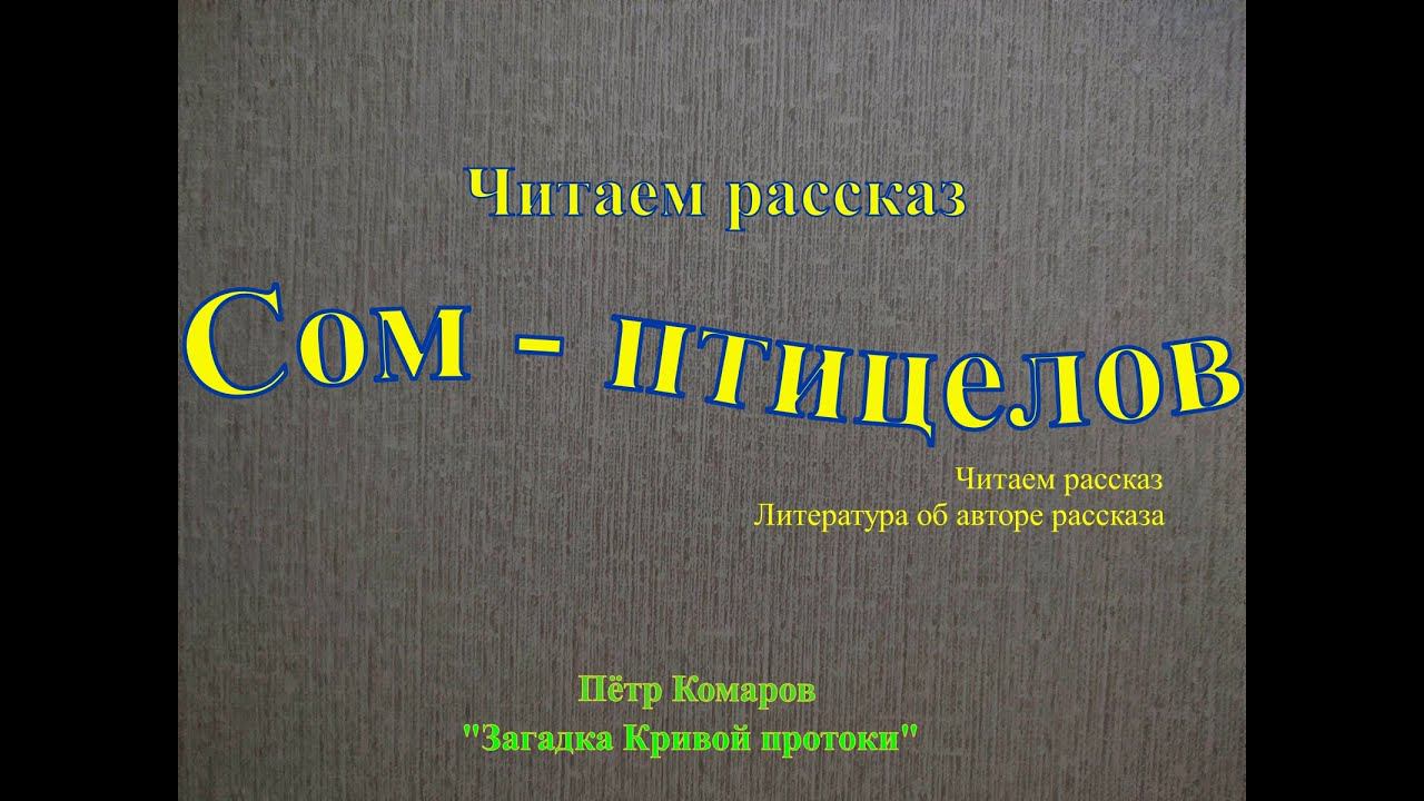 Читаем рассказ Сом птицелов Автор рассказа Пётр Комаров