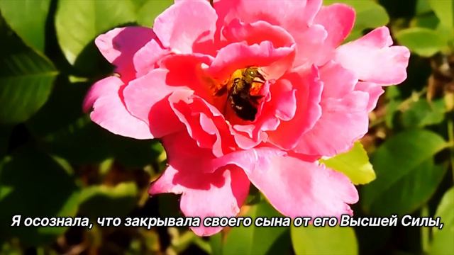 Чудеса. 8 июня. Сегодня - лучший путь. Ежедневник для созависимых