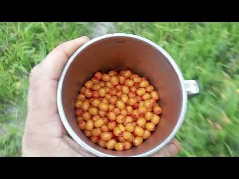 Выезд на новое место для отдыха.