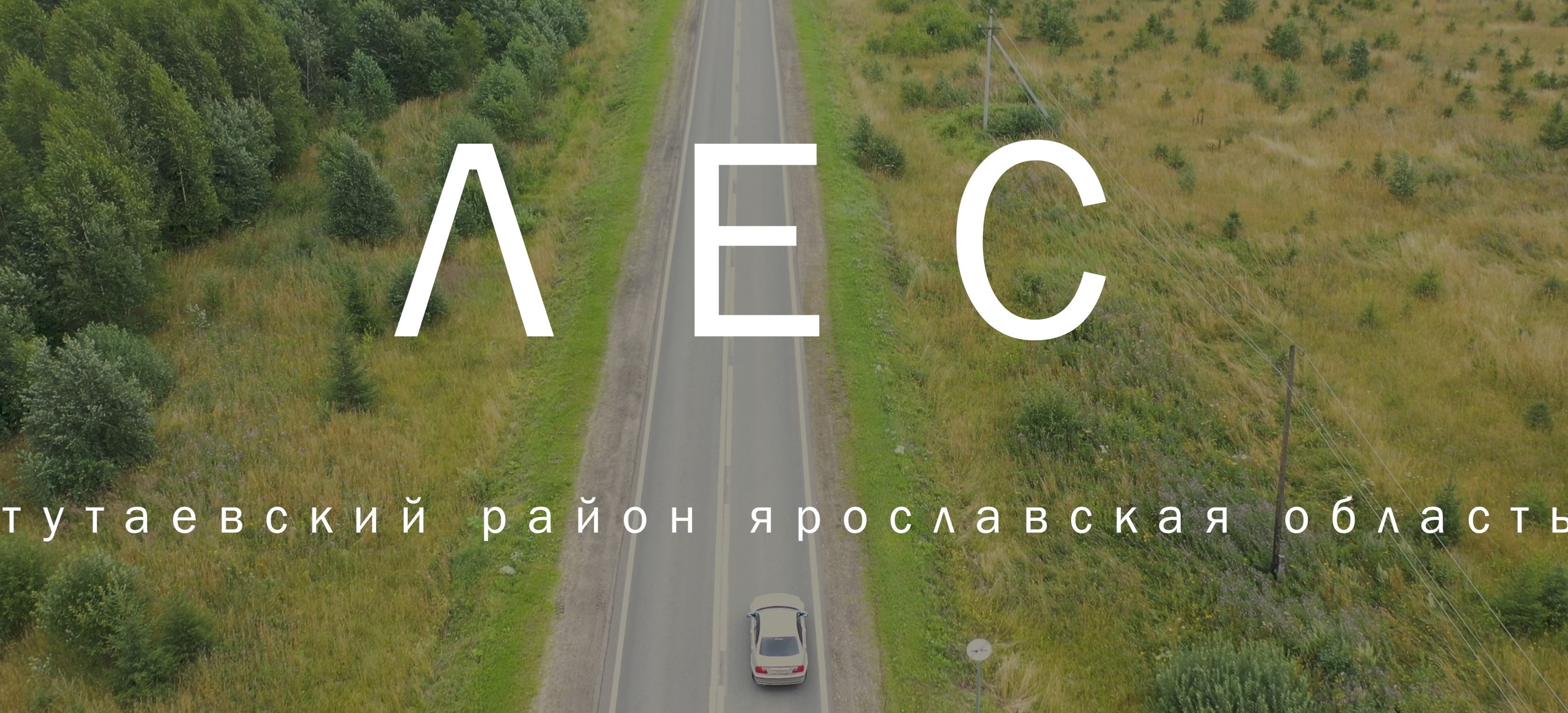 ЛЕС. Из Ярославля в Тутаевский район. ЗА ГРИБАМИ. #ТАЙМЛАПC #drone_video #MAVIC 2pro