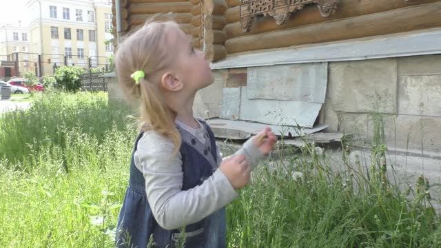 Исчезающая история Екатеринбурга. Деревянное зодчество. Дом Агафуровых. АН Мегамир, ЕКБ.
