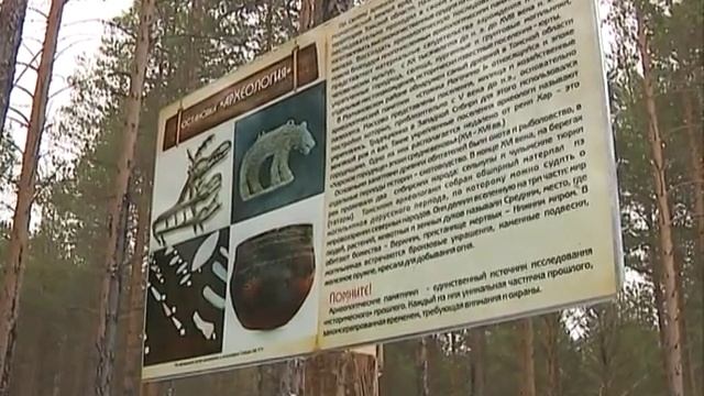 Экологический дневник 14.11.15.mp4